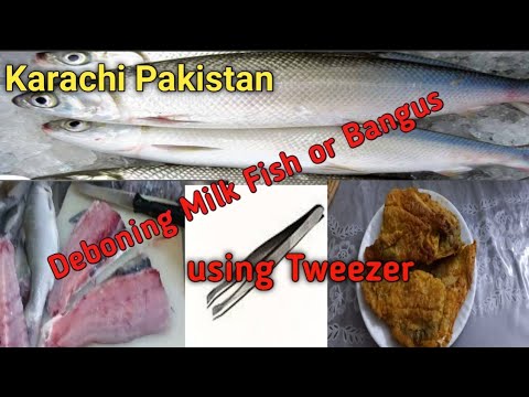 How to Debone Milk Fish or Bangus Using Tweezer. # 26 - YouTube