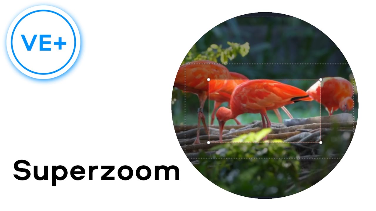 ¿Cómo hacer un SUPERZOOM? | Videoedición (Tutorial 2021) - YouTube