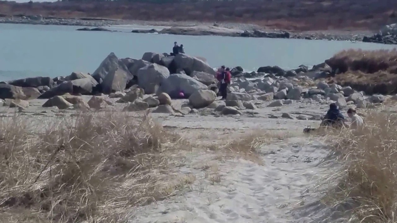 Crystal Crescent Beach near Halifax, Nova Scotia - YouTube