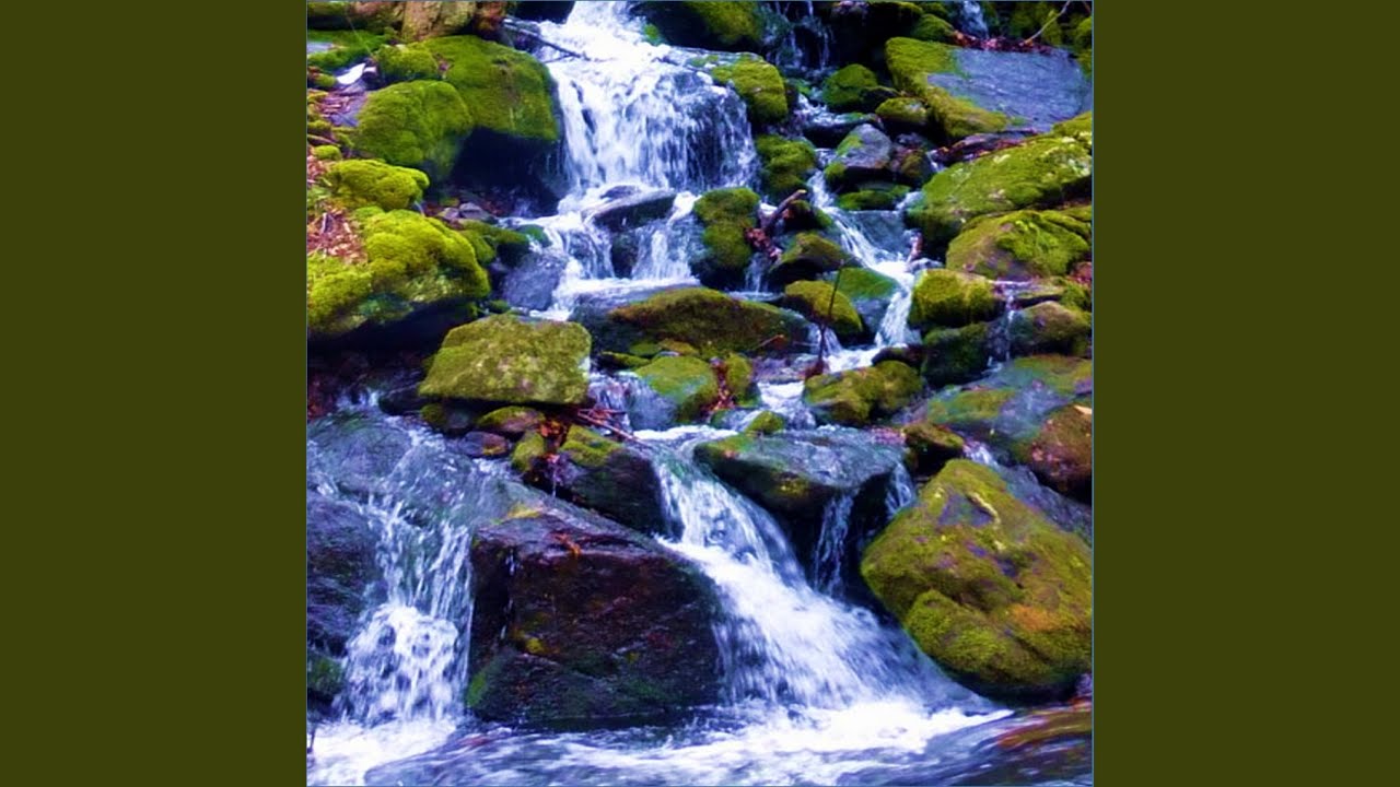 Very Busy Woodland Stream After the Rain - YouTube