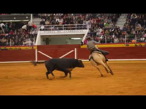 Lea Vicens y la lidia de salida de un toro de Capea; actuación en la plaza de toros de Illescas.