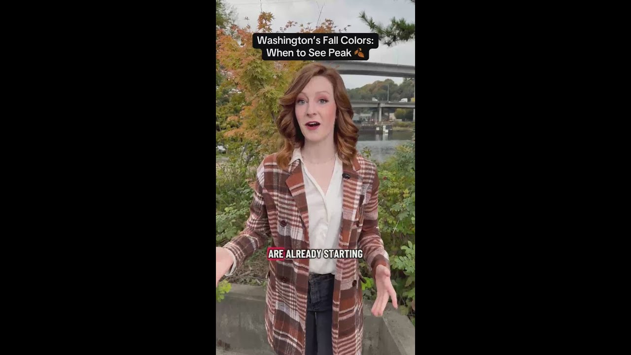 Fall Foliage Forecast: Western Washington - YouTube