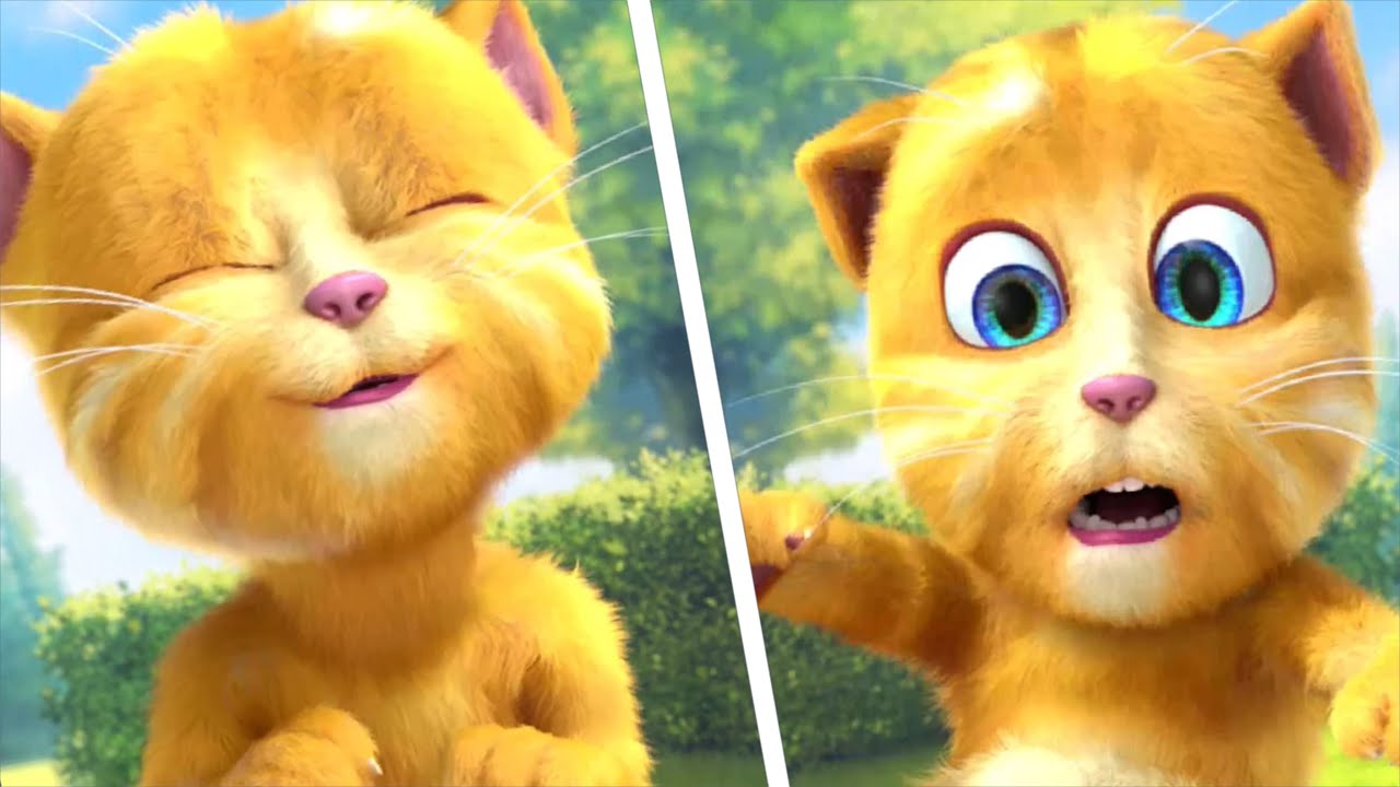 Talking Tom Ginger !! Zara's Tom - YouTube