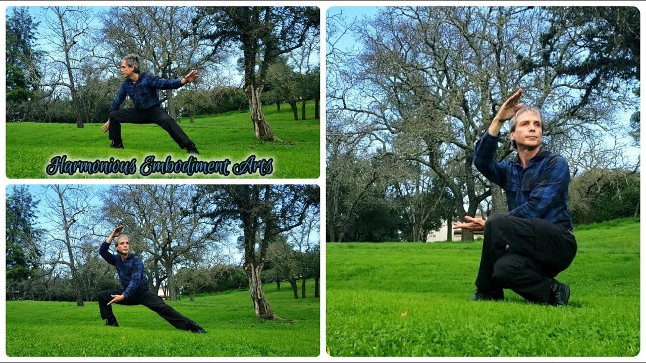 Tai chi qigong - ward off & coiling into low crossover stance. - YouTube