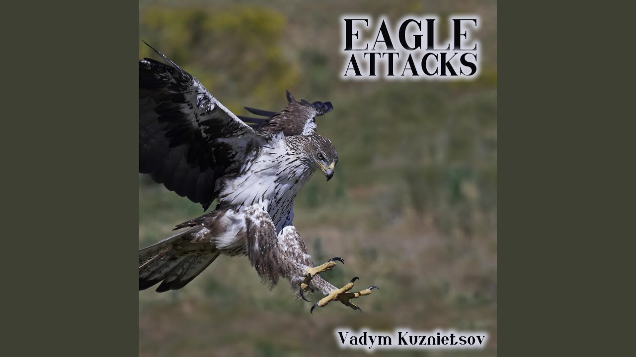 Eagle Attacks - YouTube