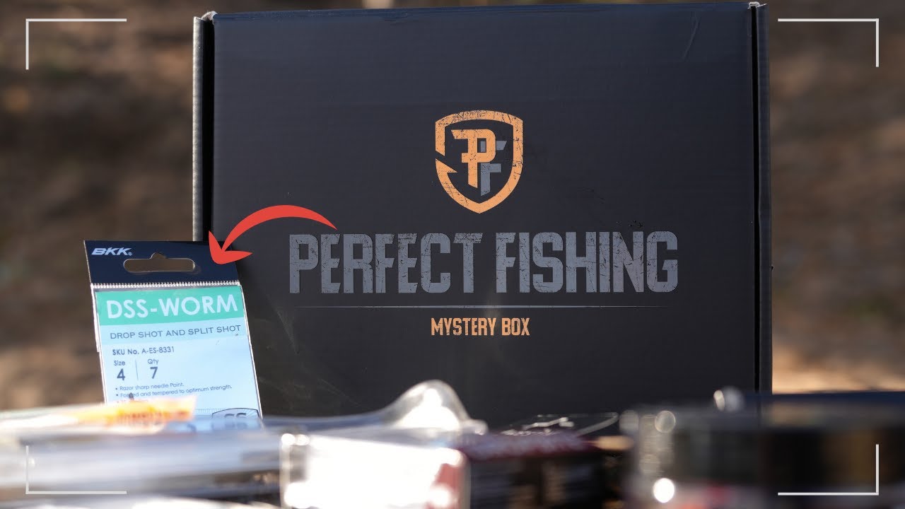 PERFECT FISHING ! Mystery BOX ! 10/24 - YouTube