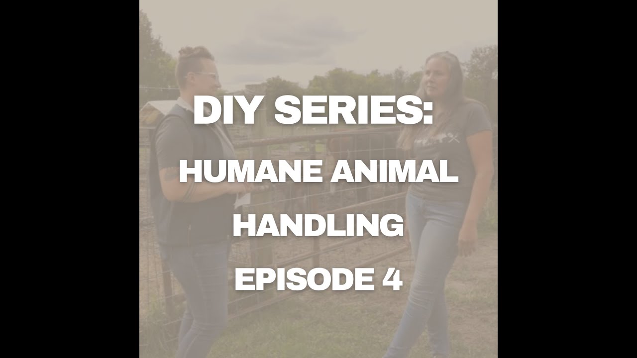 DIY Humane Animal Handling: Howling Flats Farm - YouTube