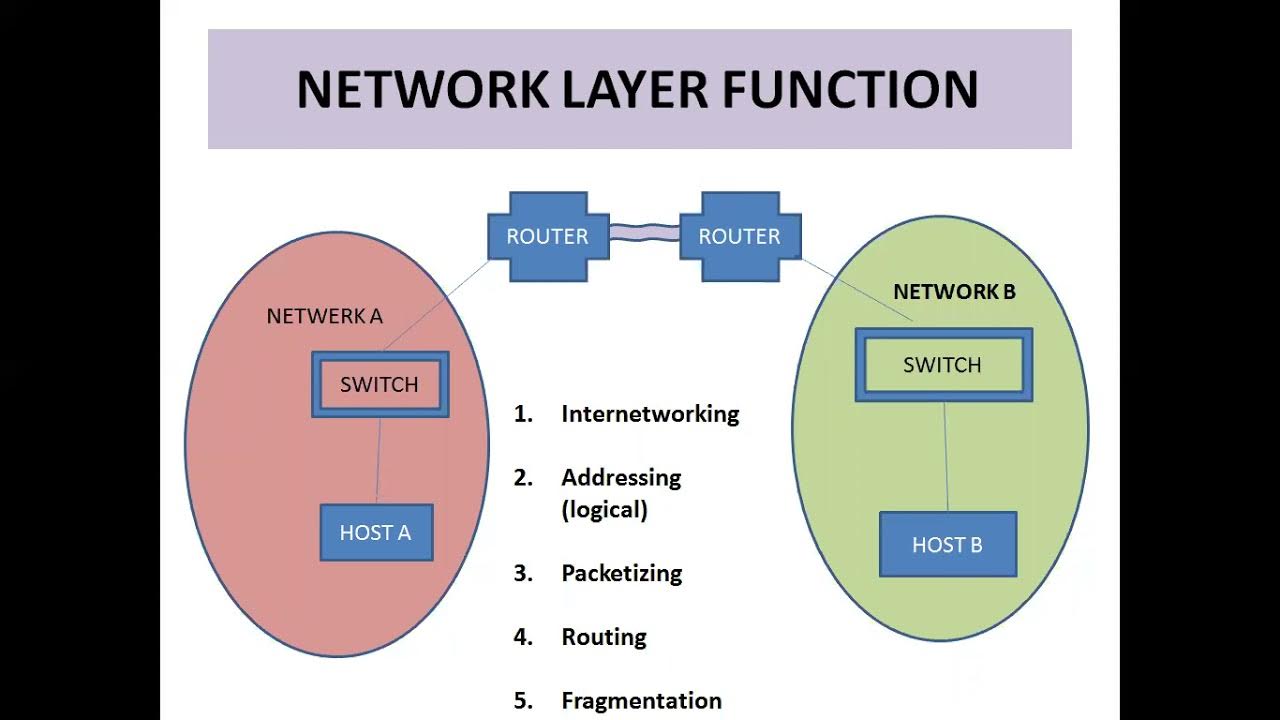 Network Layer // Computer network//Routing//PTU//AKTU//Network layer ...