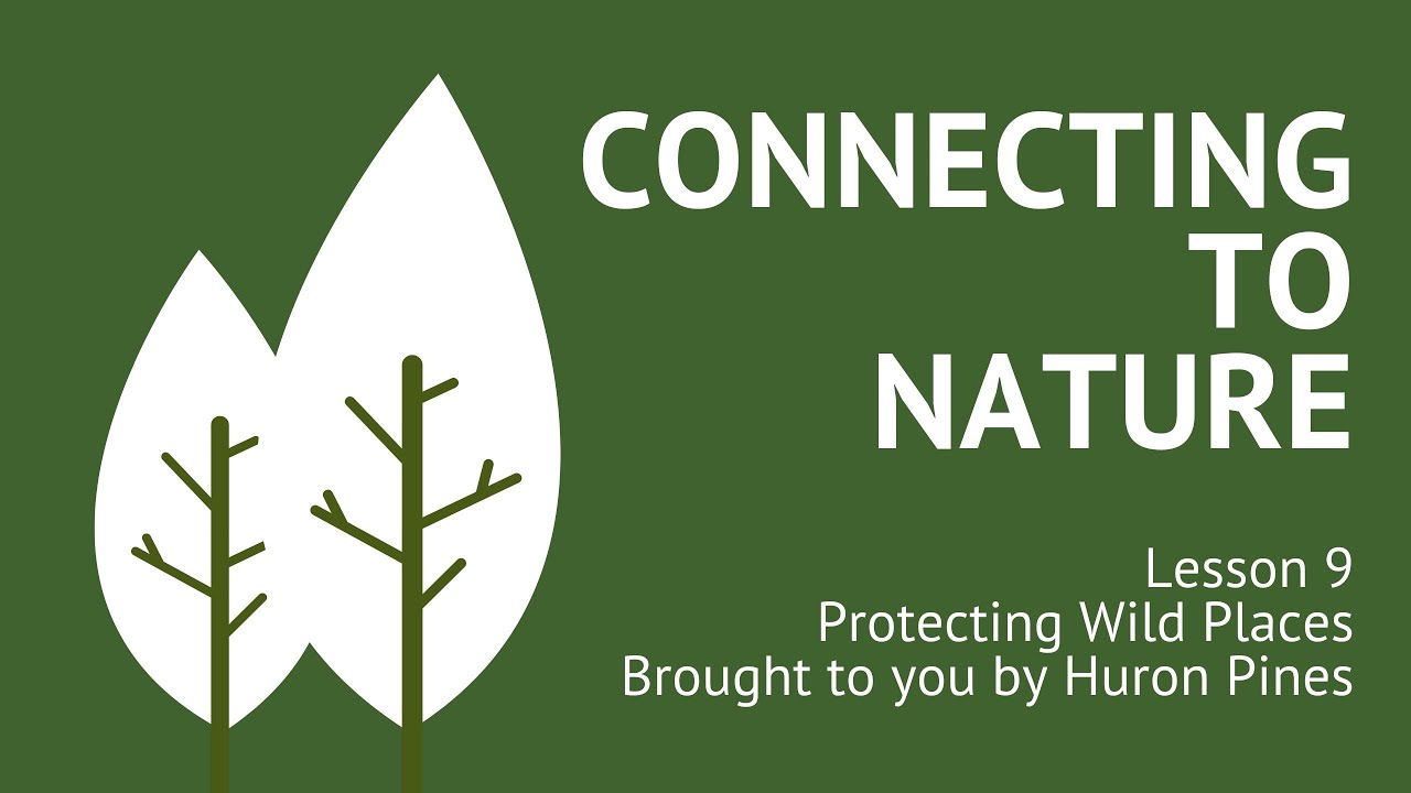 Connecting to Nature: Protecting Wild Places - YouTube