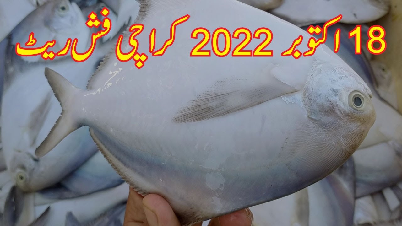 Karachi Fish Price Update || 18 October 2022 || Karachi Fish Rate ...