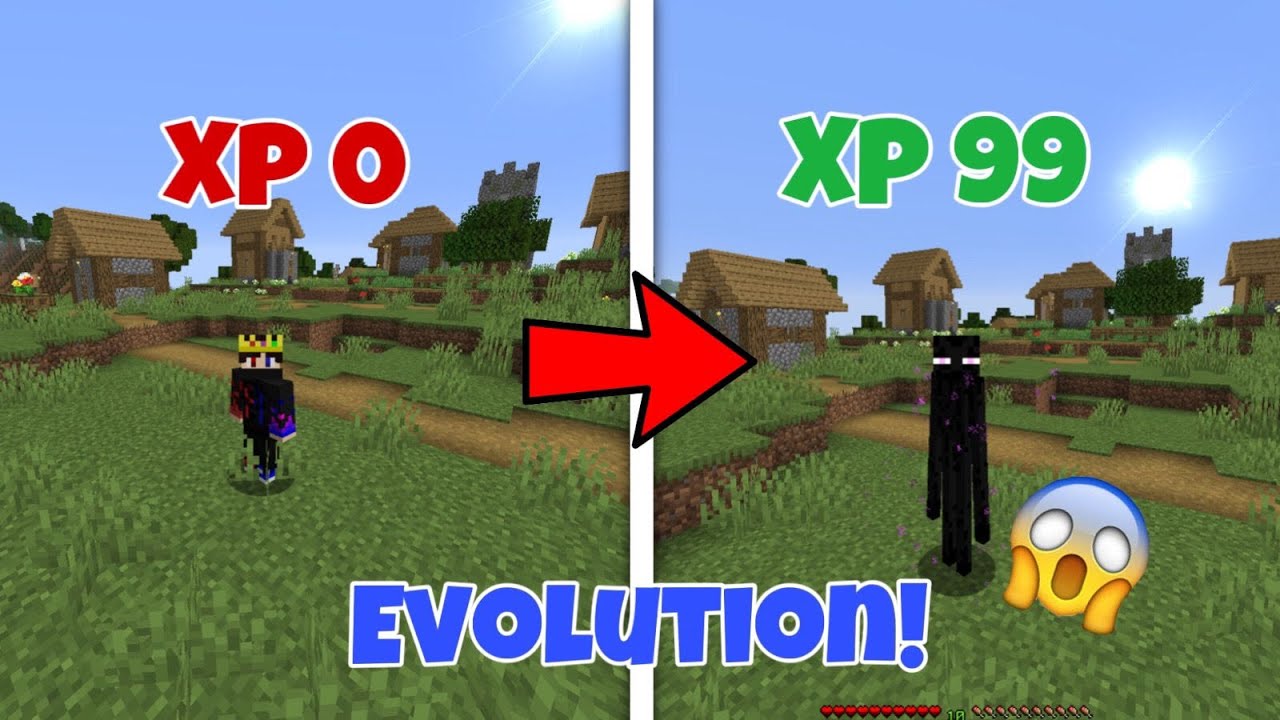 Minecraft, But Every XP Level Evolves Me… Into Something New 🧬😱 - YouTube