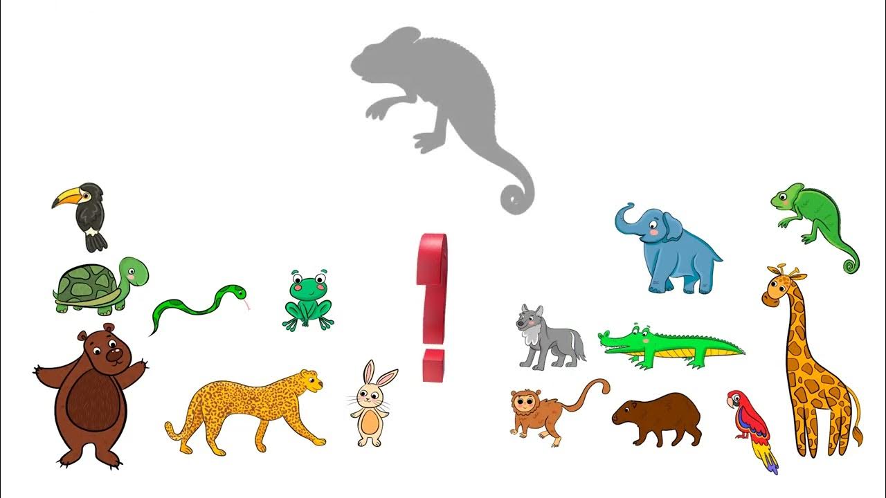 Teaching Animals using the Montessori system Educational cartoons for ...