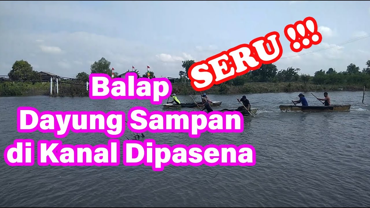 Seru! Balap Dayung Sampan di Kanal Dipasena | Indonesian Real Life ...