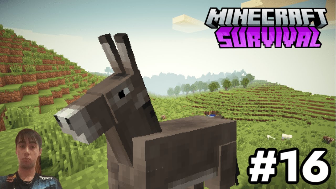 Donkey | Minecraft: Survival | Part 16 - YouTube