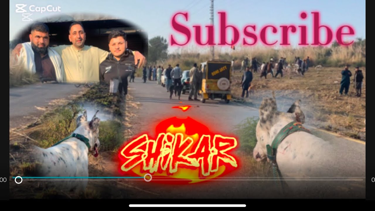 Shikar || hunting || All Kashmir group || mani_j4tt - YouTube