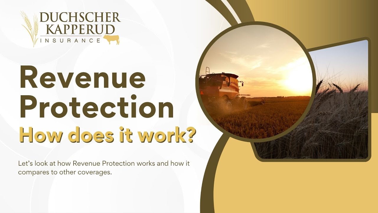 Crop Talk with Karston: Revenue Protection, How does it work? - YouTube
