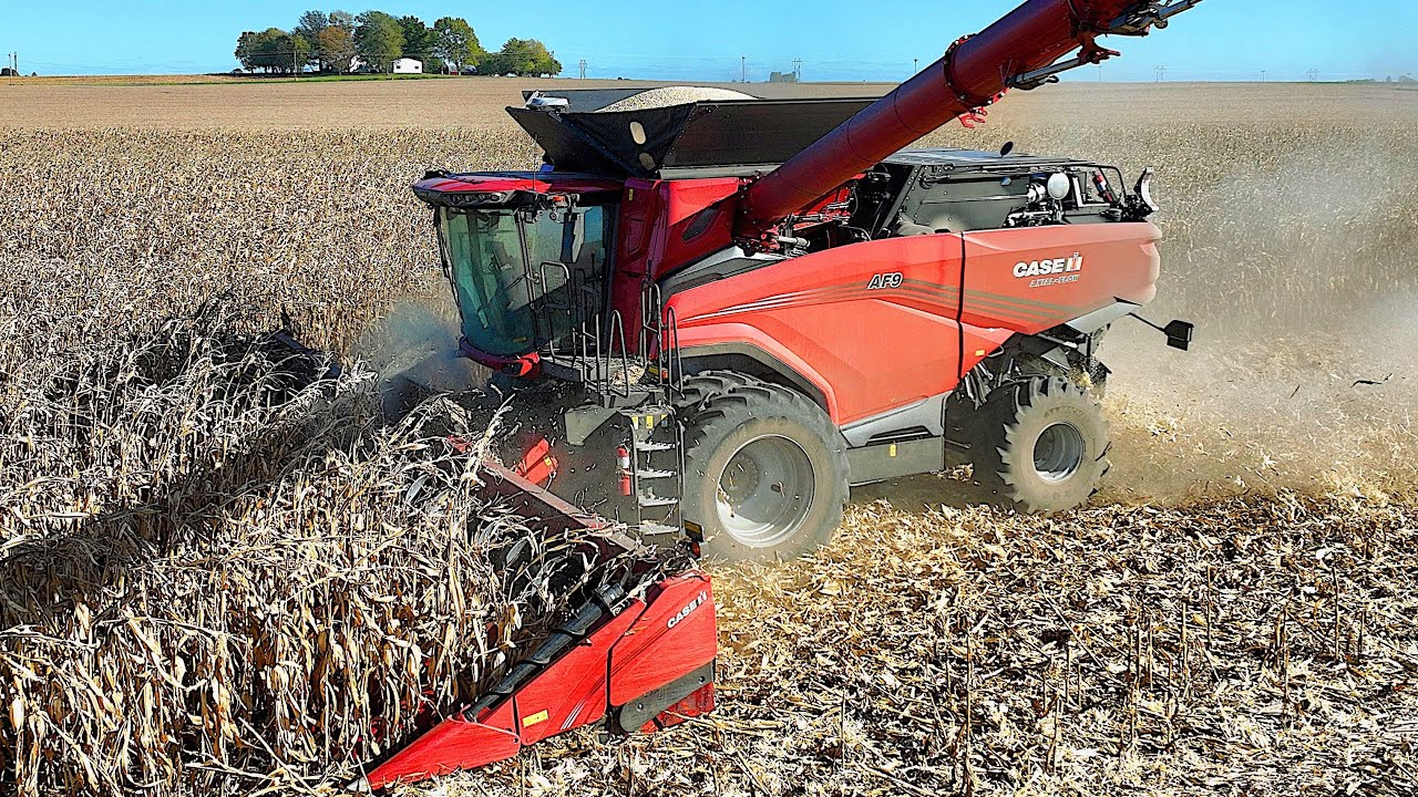 Is This Better Than The X9?? CASE IH AF9 Harvesting Corn! - YouTube