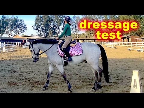 Beginner NOVICE DRESSAGE Test A - USEF Eventing (learn more) Video ...