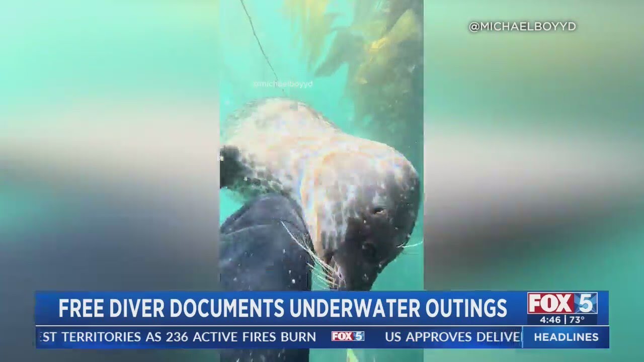 Sign Paperwork Underwater