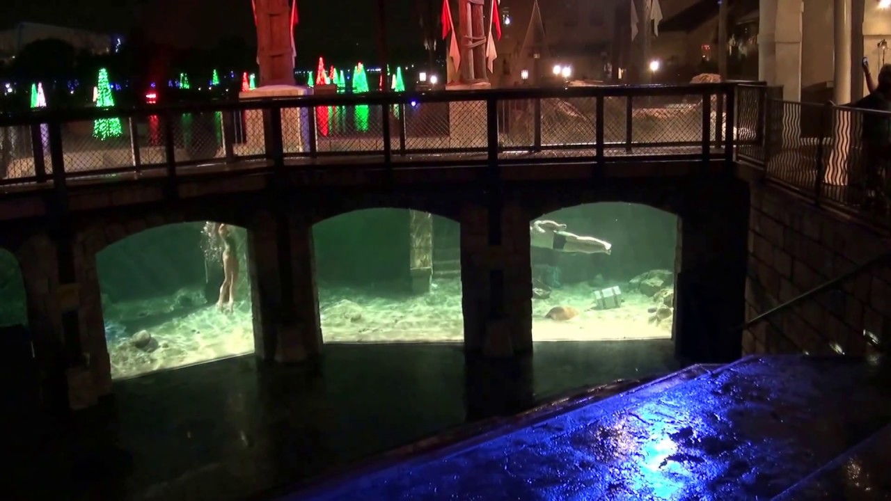 The Oyster's Secret at SeaWorld Orlando at night with divers - YouTube