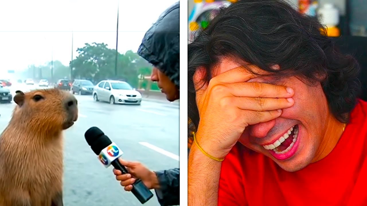 MEMES FEITOS POR IA = 😂 - YouTube
