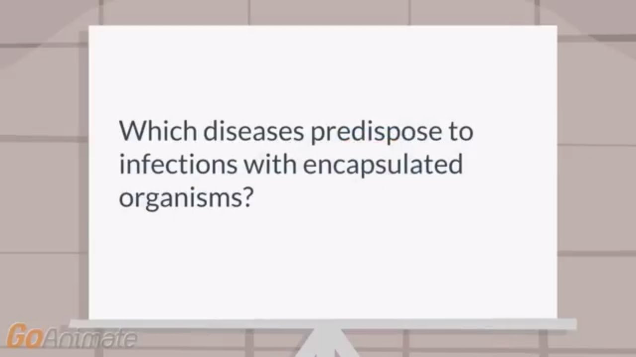 Which diseases predispose to infections with encapsulated organisms ...