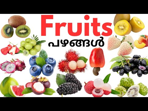 Fruits names for kids| fruits names in English and Malayalam| പഴങ്ങളുടെ ...