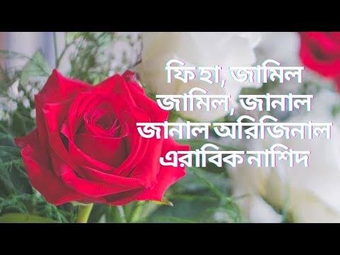 Zammil Zammil Song Bangla Subtitle Jannil Jannil Song Fi ha Arabic Nasheed