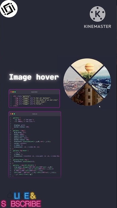 Circular Image On Hover Effect Using #html #css | @DevArea #shorts - YouTube