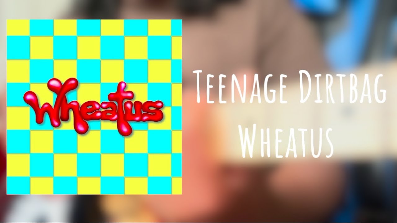 Teenage Dirtbag-Wheatus Cover - YouTube