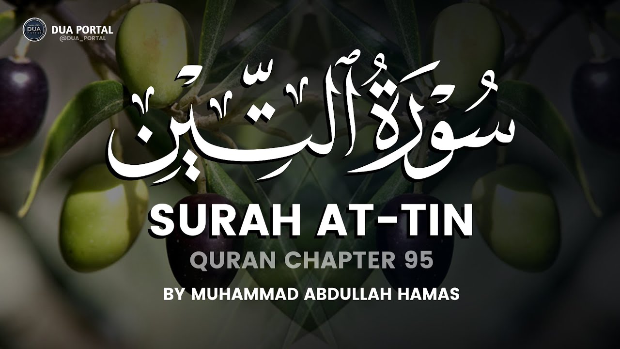 Surah At-Tin | By Abdull Hamas | Full With Arabic Text (HD) | 95-سورۃ ...