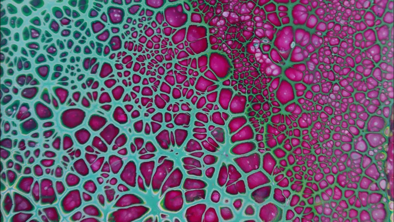 Acrylic pouring ( 30 ) cell explosion 🔥💥 - YouTube