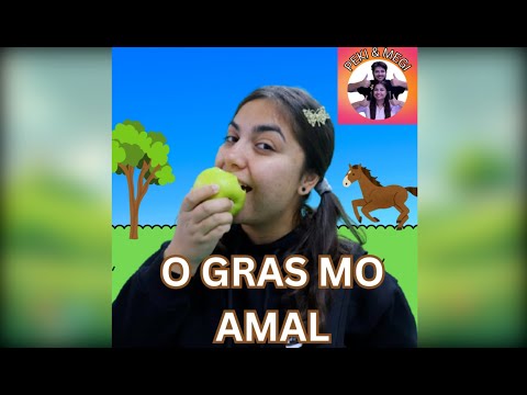 O Gras Mo Amal - Peki & Megi