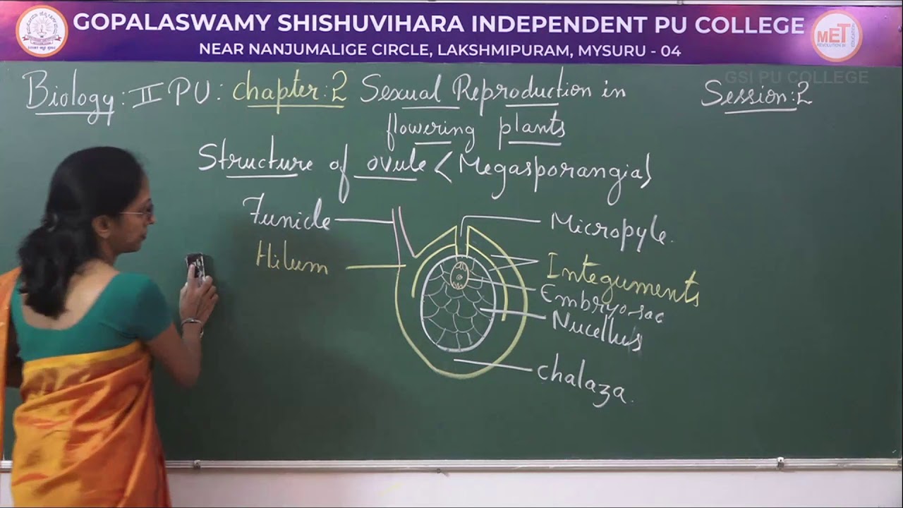 BIOLOGY | II PUC | CH 02 | SEXUAL REPRODUCTION IN PLANTS - GYNOECIUM ...