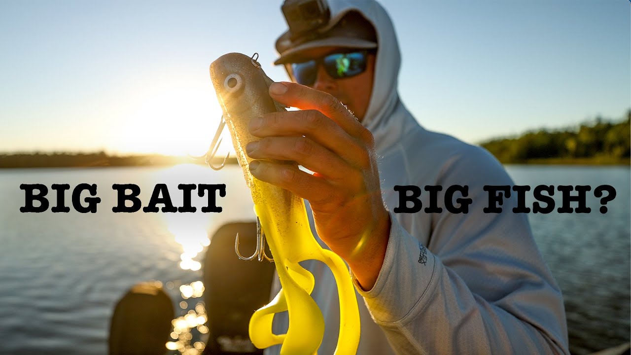 BIG BAIT = BIG FISH? (MINNESOTA MUSKIES) - YouTube