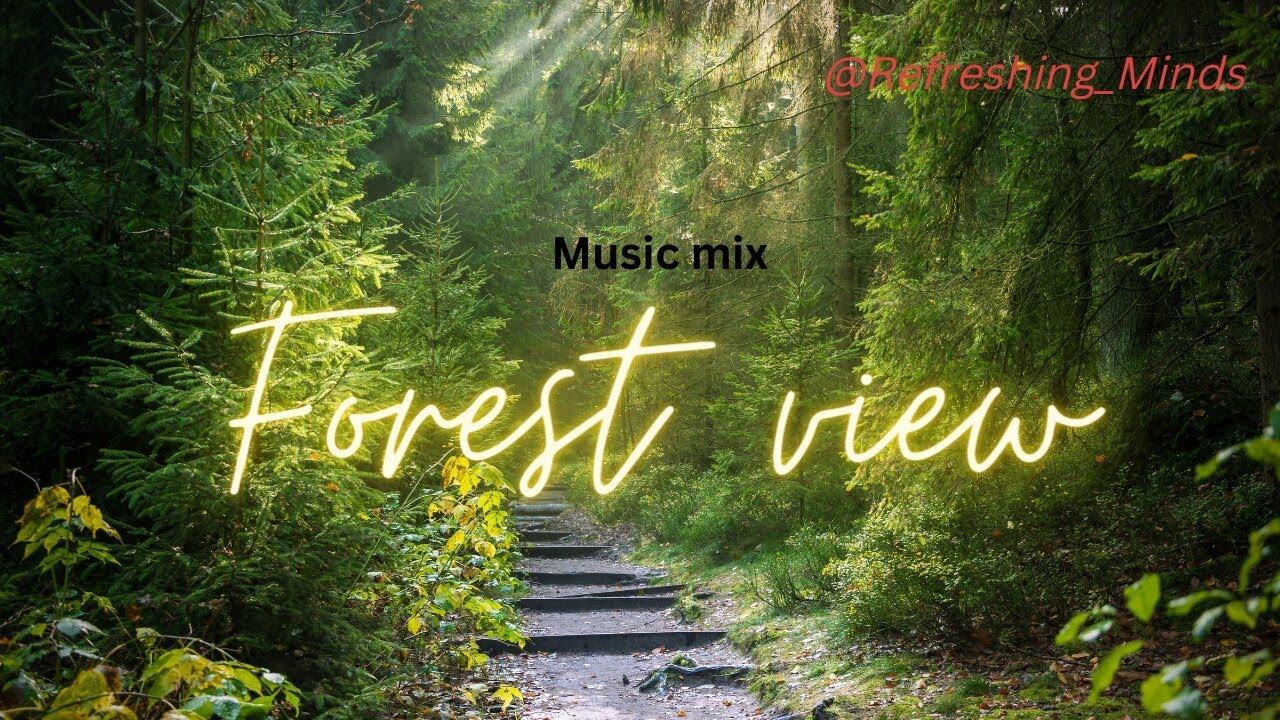 "Life of Forest " What is inside the forest ?? Lets see with me ...