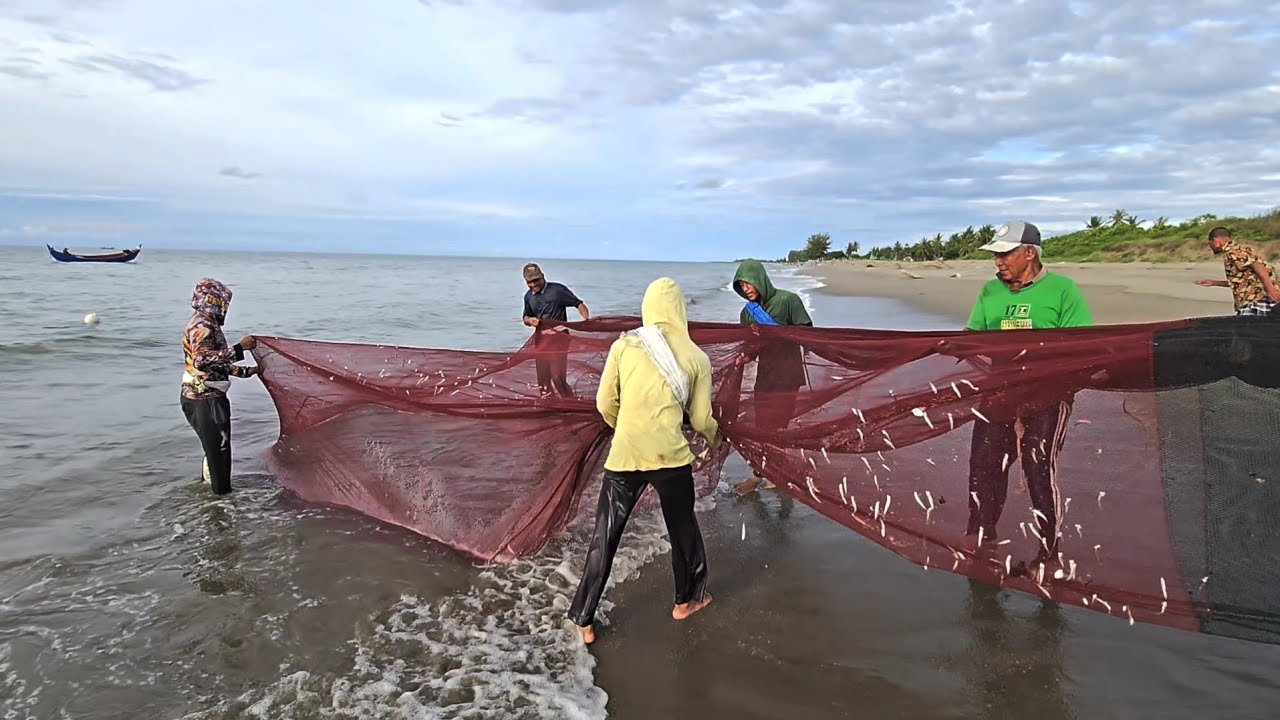 The Most Amazing Beach Trawl Net Catching Fish With Circle Net - YouTube