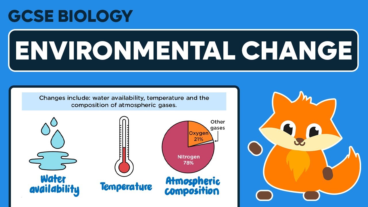 Impact of Environmental Change - GCSE Biology - YouTube