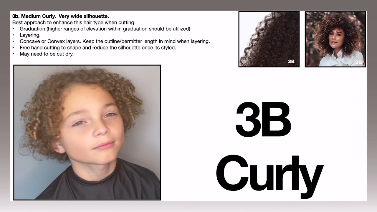 3b Hair Type
