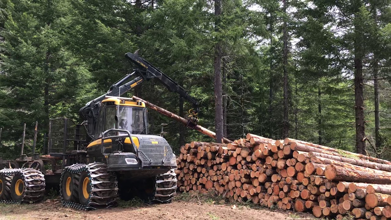 Mount St. Helens Logging - YouTube