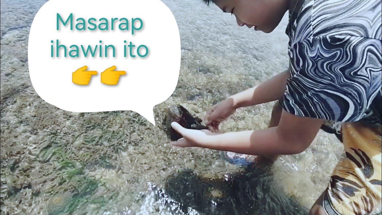 SURVEY SA GASANGAN😍😂🐙🐟🐌🐚🐠🐡 - YouTube