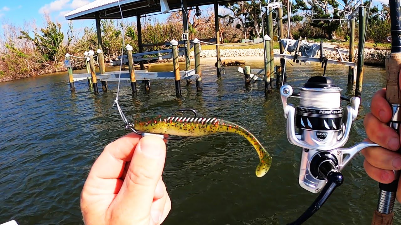 Dock Fishing Caught Dinner + Slammed on the Flats! - YouTube