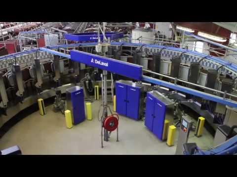 El primer sistema rotativo de ordeño automático del mundo - AMR™ - YouTube