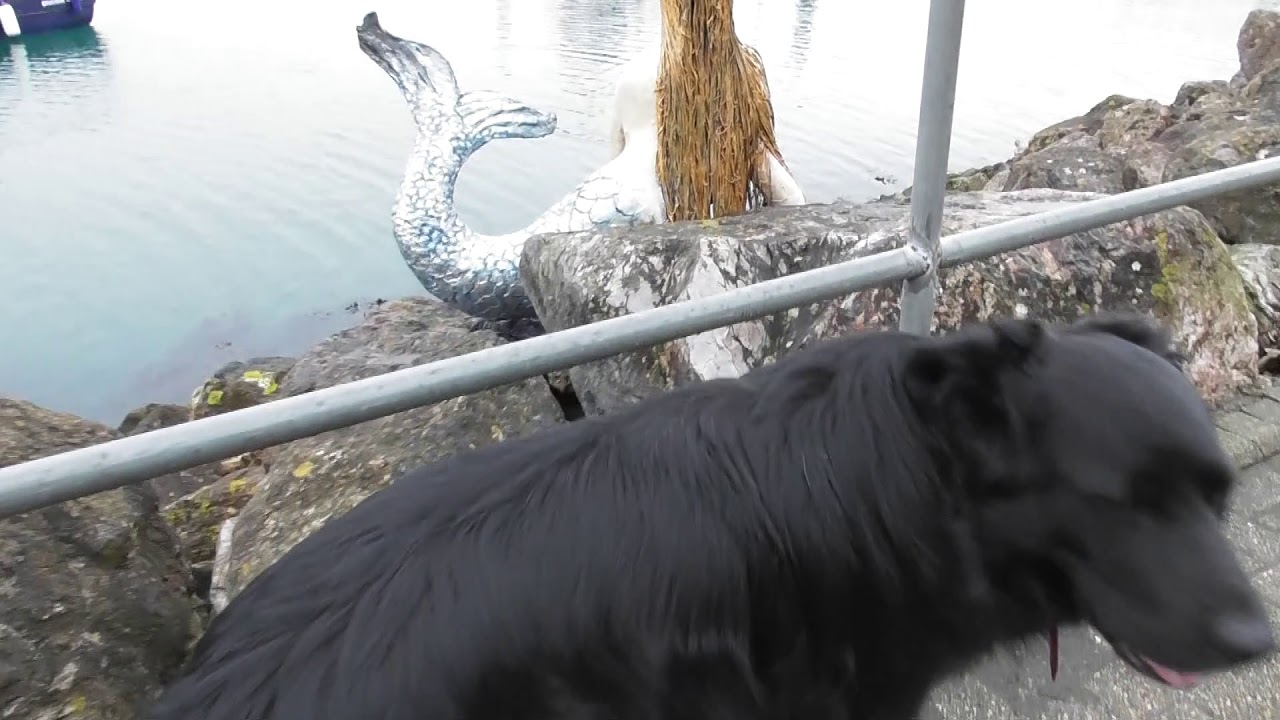 Bear's Bites 27/01/2020 Part 1 of 3 - YouTube