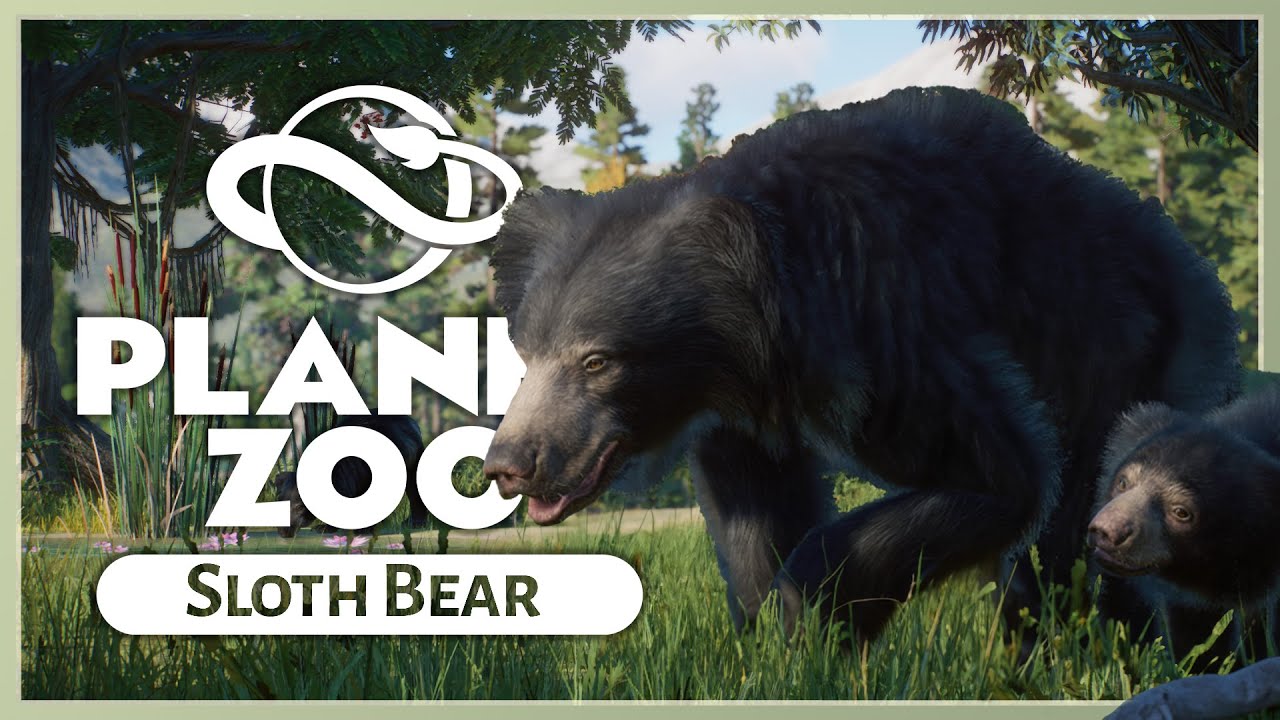 New Sloth Bear! | Planet Zoo Eurasia Animal Pack | Screenshot Reveals ...