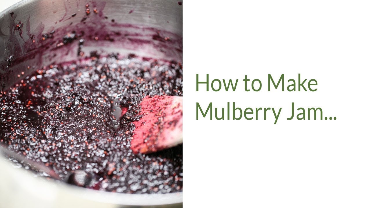 How to Make Mulberry Jam - YouTube