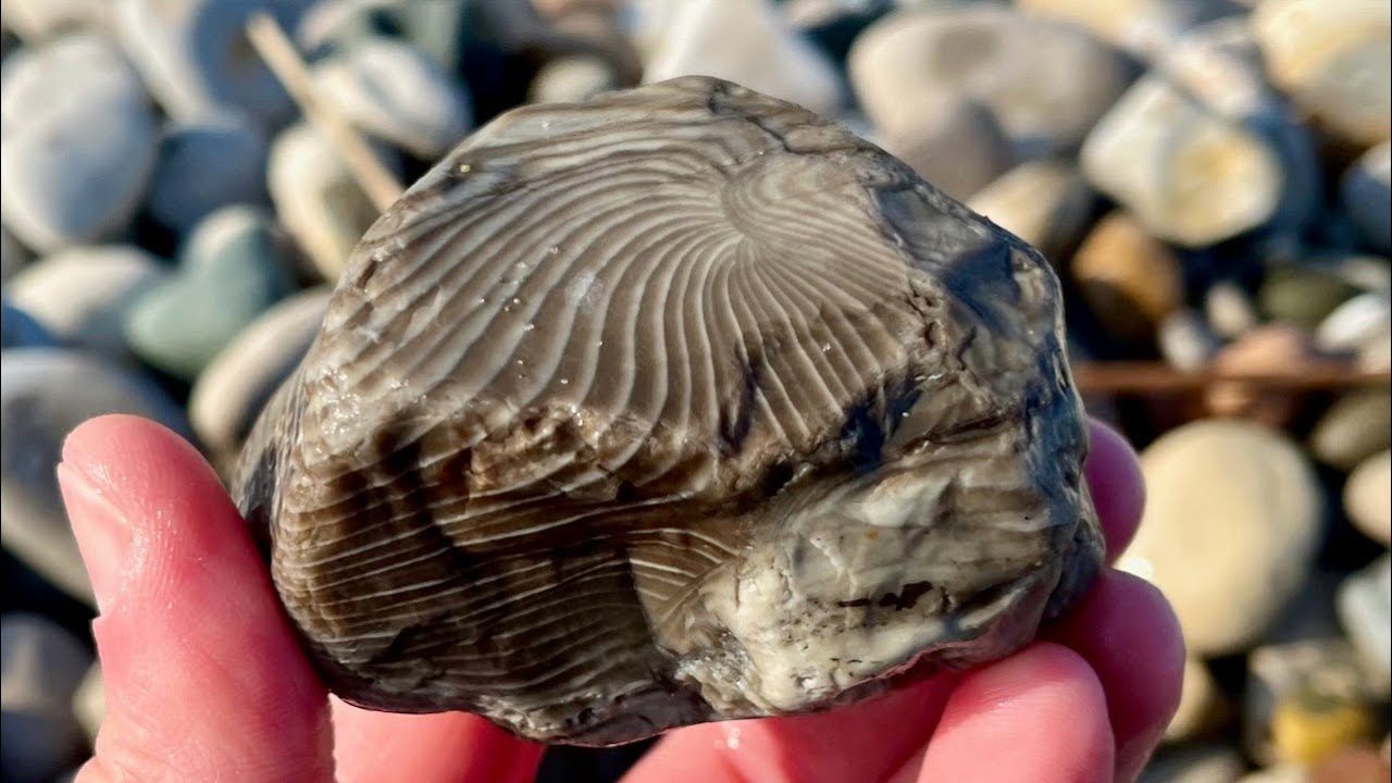 First Rock Hunt of the Spring! Found Some Beauties - YouTube