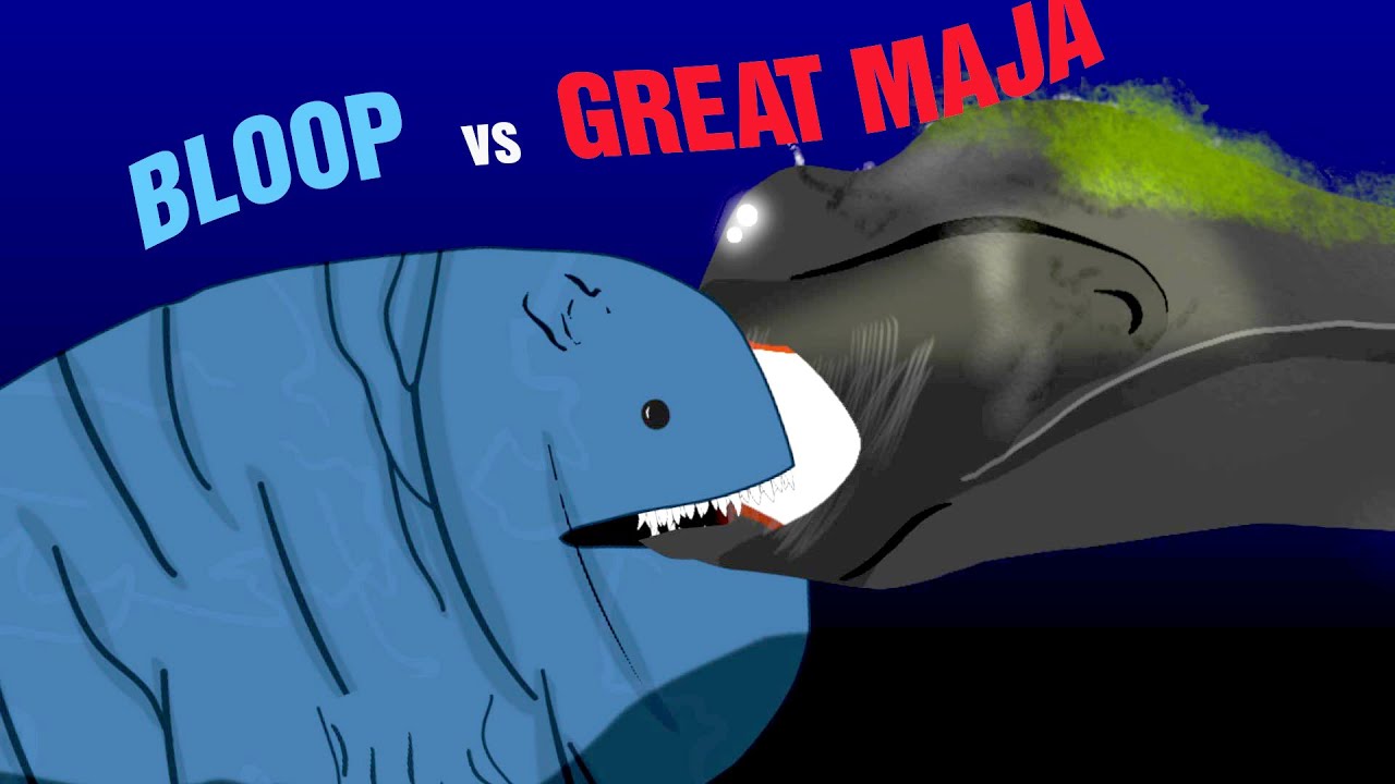 El Gran Maja Bloop First Encounter YouTube El Gran Maja Bloop First Encounter YouTube