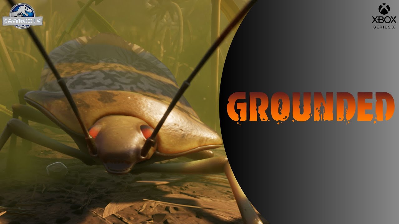 GROUNDED - LOCALIZAÇÃO FACIL DO STINK BUG - YouTube