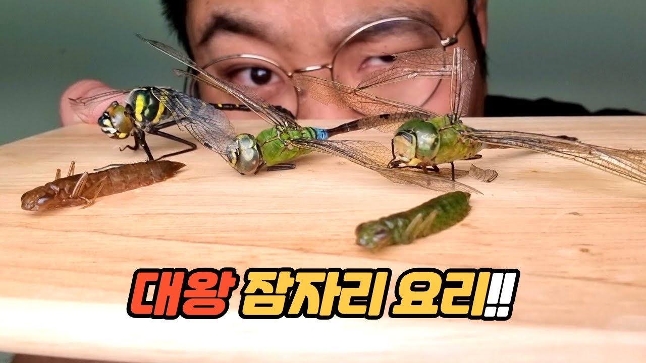 동족도 먹는다는 왕잠자리랑 수채 잡아서 텐동 만들어 먹었습니다 ㅋㅋㅋ With 헌터퐝 Youtube